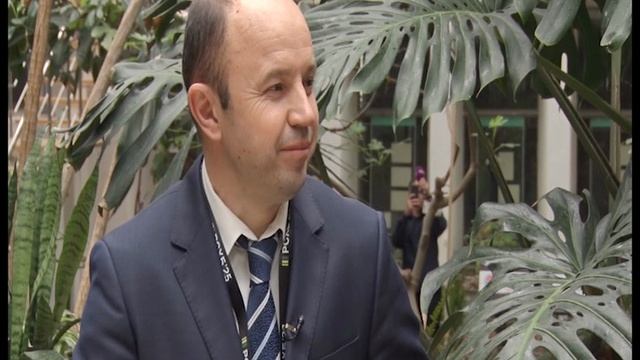 Зерно | Интервью | Тамыр