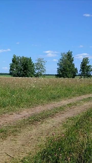 Лог Драверта, Геологический памятник природы