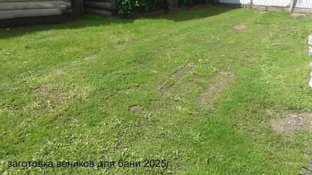 заготовка веников для бани