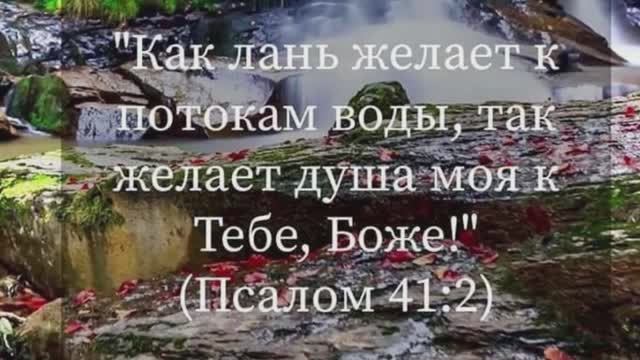 Христианский гимн "Как к источнику лань" #921