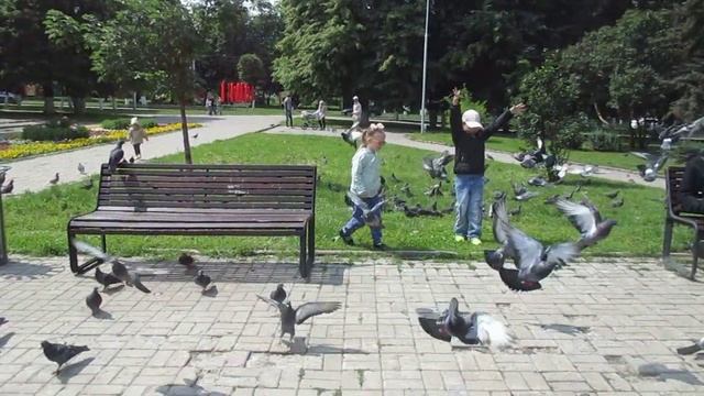 Прогулки по Чебоксарам