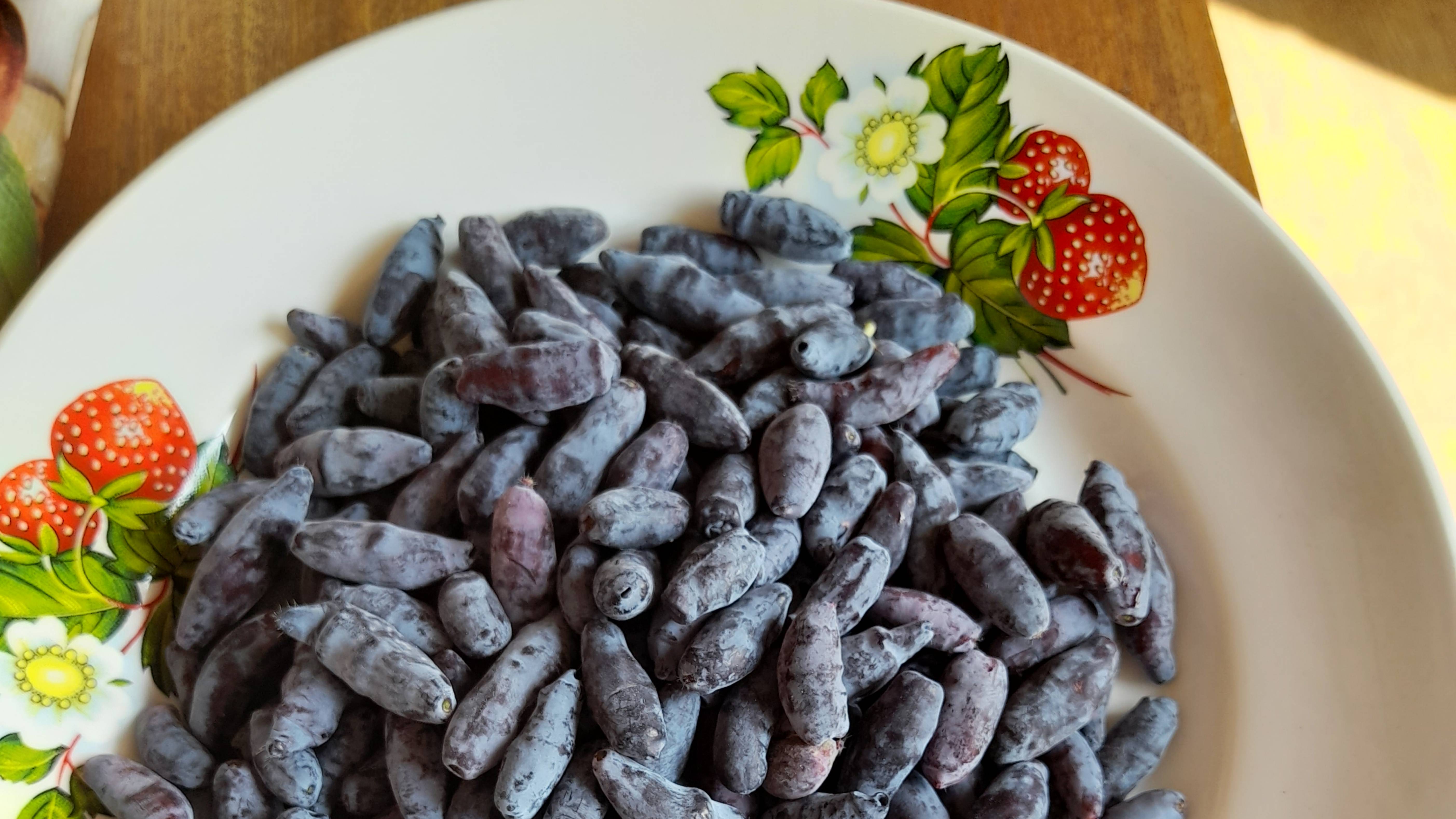 20250629_144521 Завершаем сбор жимолости