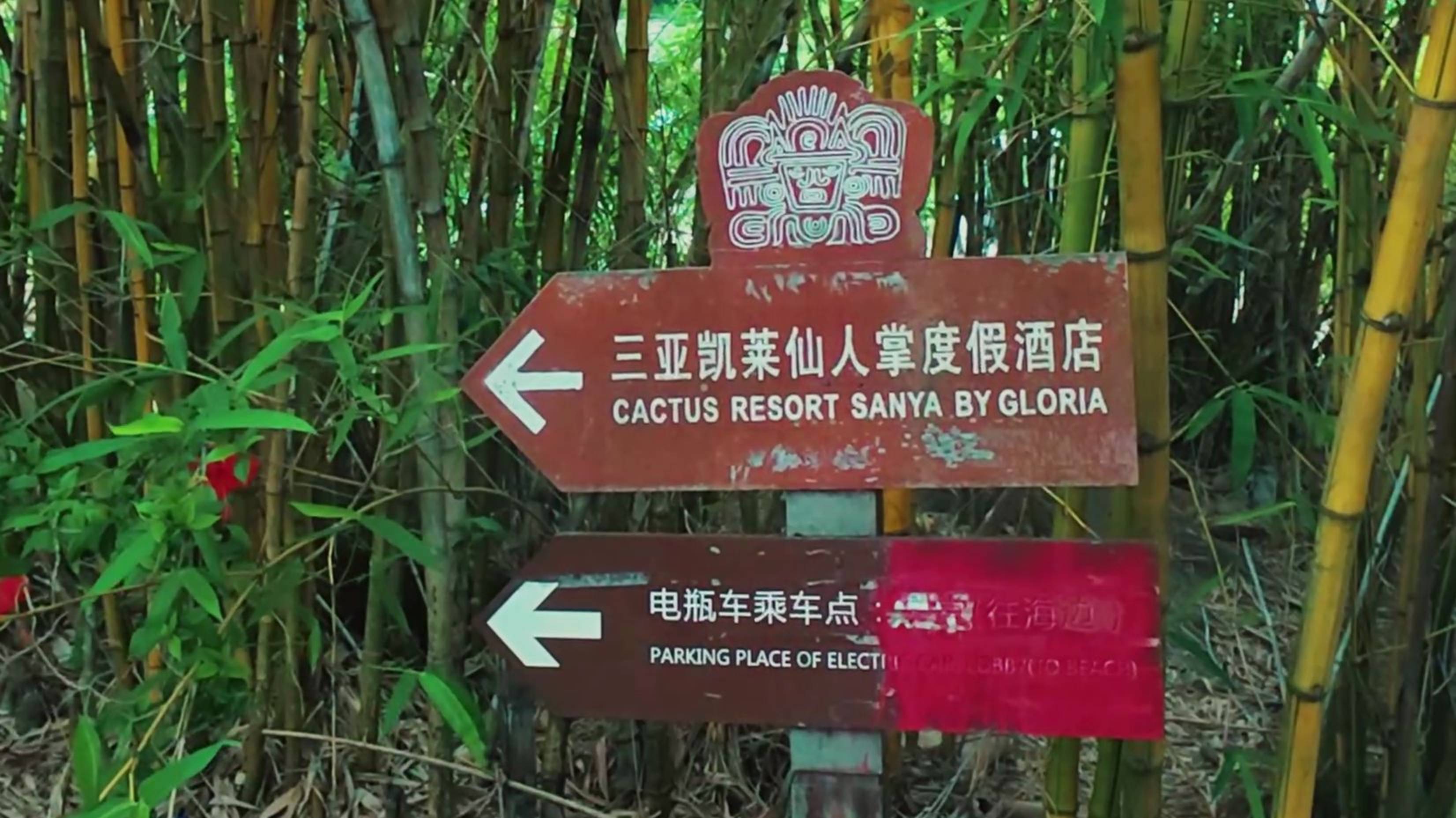 Хайнаньские хроники 7 серия ч1. Кактуса больше нет(: