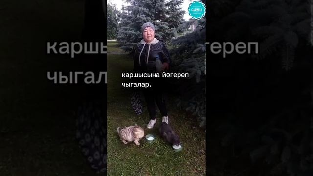 Кече туганнарыбыз өчен без җаваплы
