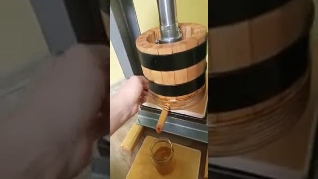 Отзыв на пресс для холодного отжима масла в домашних условиях 30т 2020 03 09