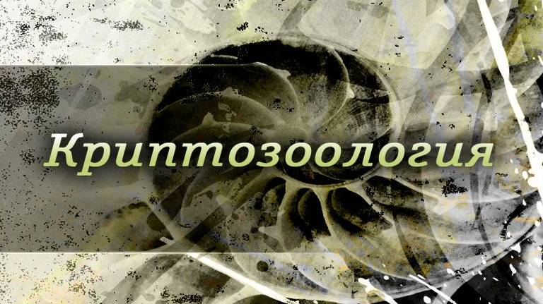 Криптозоология # 1.9. Зоологические загадки Чёрного континента