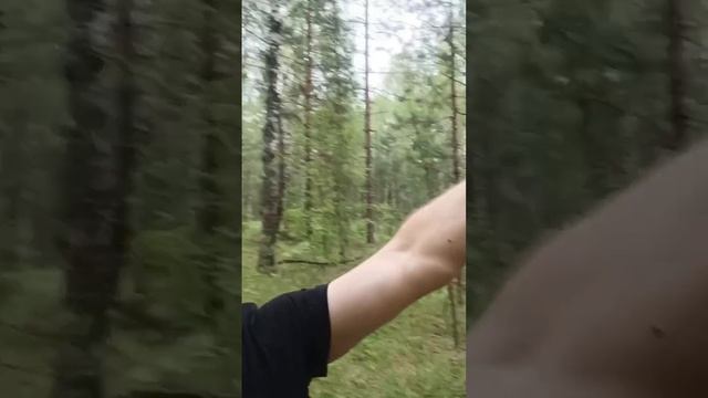 Тест работы в лесу портативных cb радиостанций Штурман