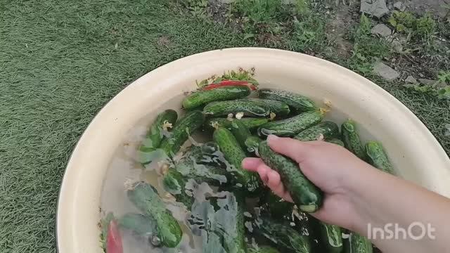 Дачный влог / Покупки в Ашане / Закрыла огурцы на зиму /Что нового на участке/ Купили дом в деревне