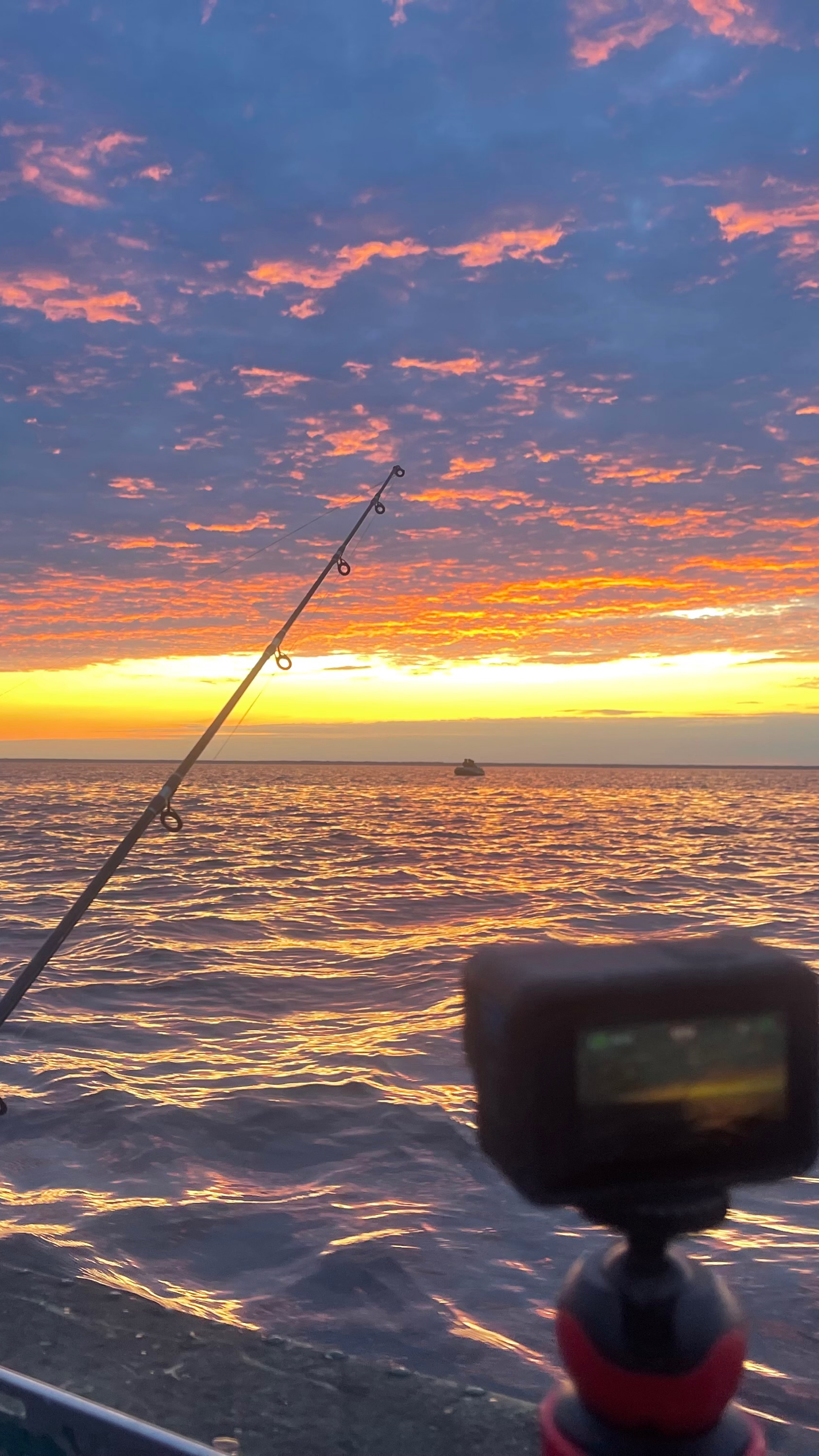 Судак загнул на восходе солнца!!