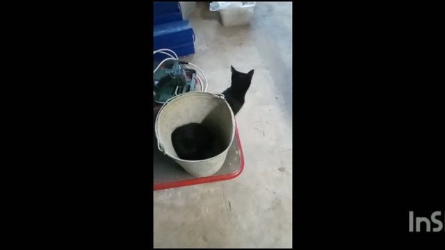 Найди меня!