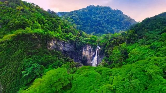 Гавайская гитара.  Райская мелодия. Hawaiian guitar. Paradise melody