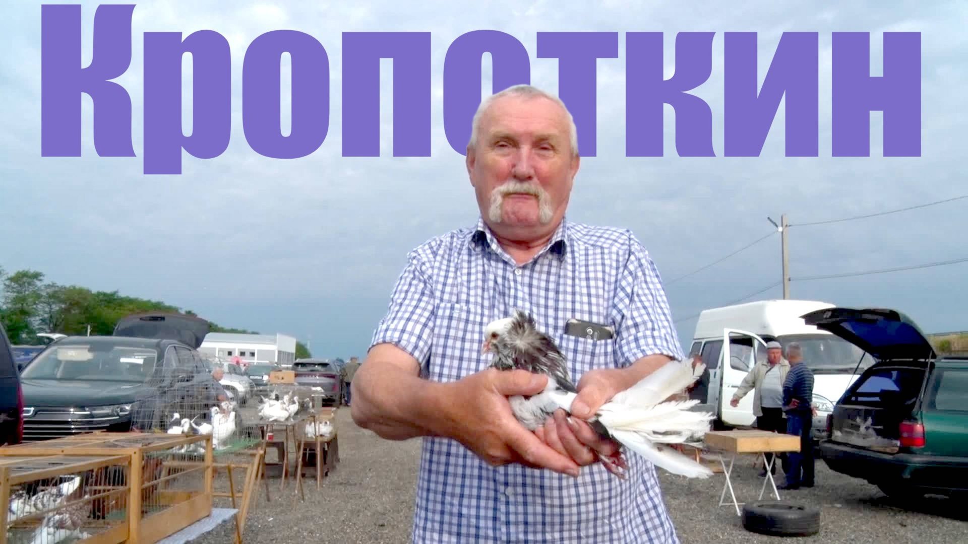 Птичий рынок. Кропоткин - новое место (Магистральная 1). [29.06.2025]