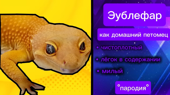 Эублефар как домашний петомец • пародия •