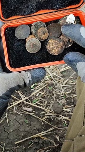 На железном поле исчезнувшей деревни!