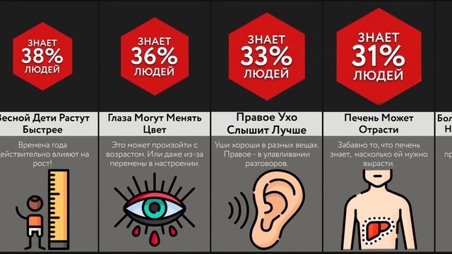 Удивительные Факты О Вашем Теле