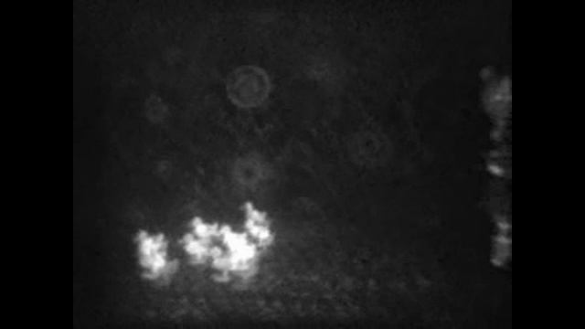 Мультфильм Лиса и утята