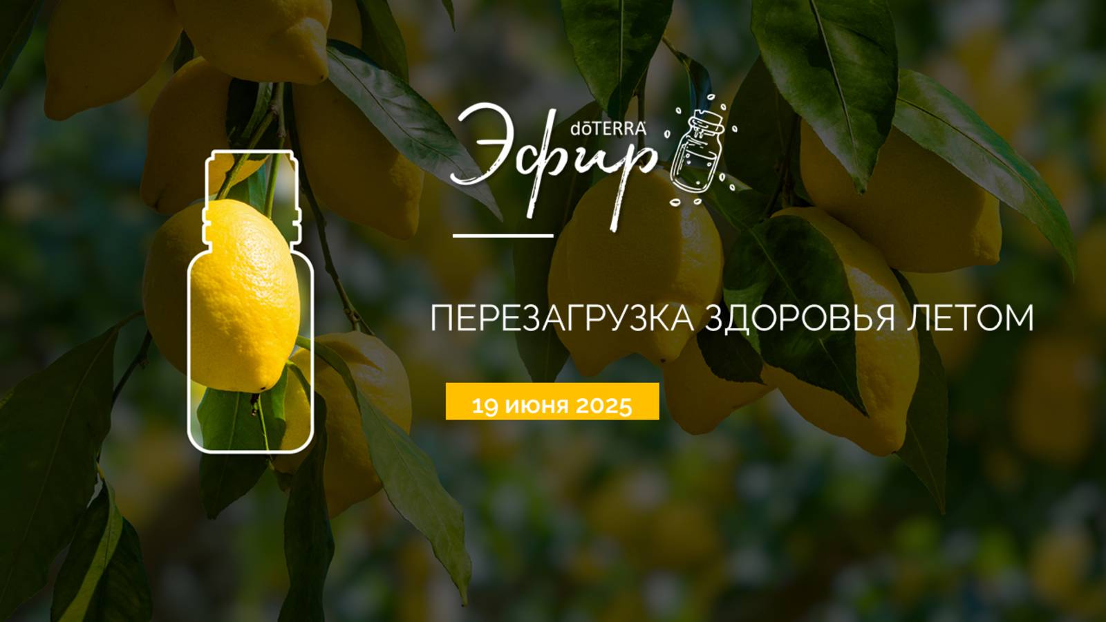 Перезагрузка здоровья летом (Протеин, PB Restore, Fiber+, LLV) (Эфир dōTERRA 19.06.2025)