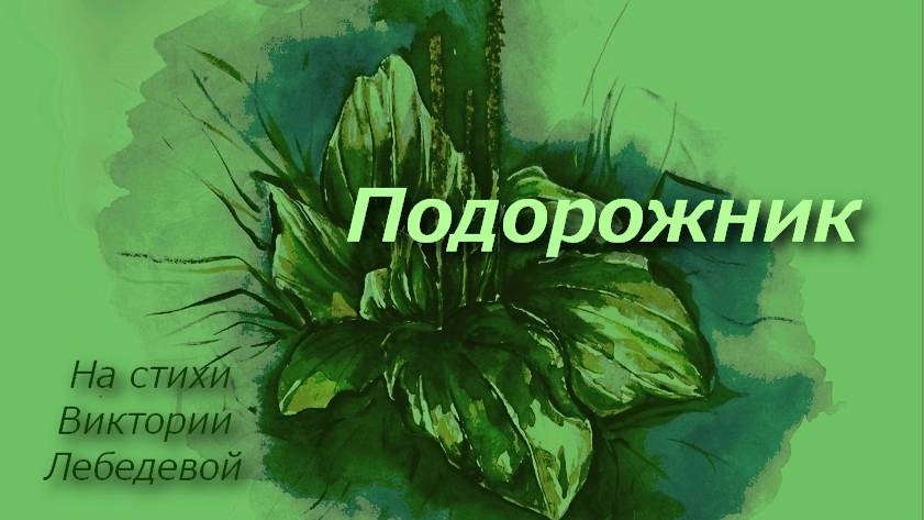 Подорожник (Песня)