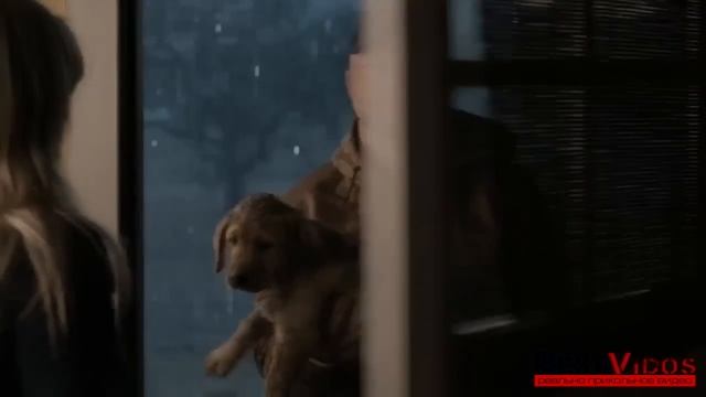 Видео для RStudio2 — копия (7)