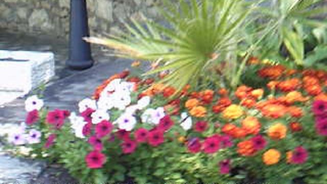 DSCF0006Лермонтовский фестиваль Железноводск июнь 2025