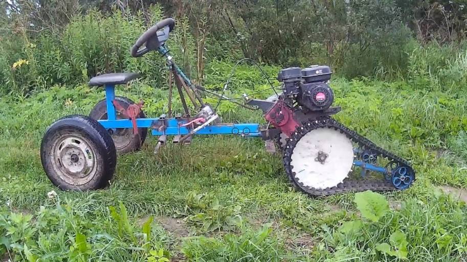 Мои ПЕРВЫЕ ГРИБЫ