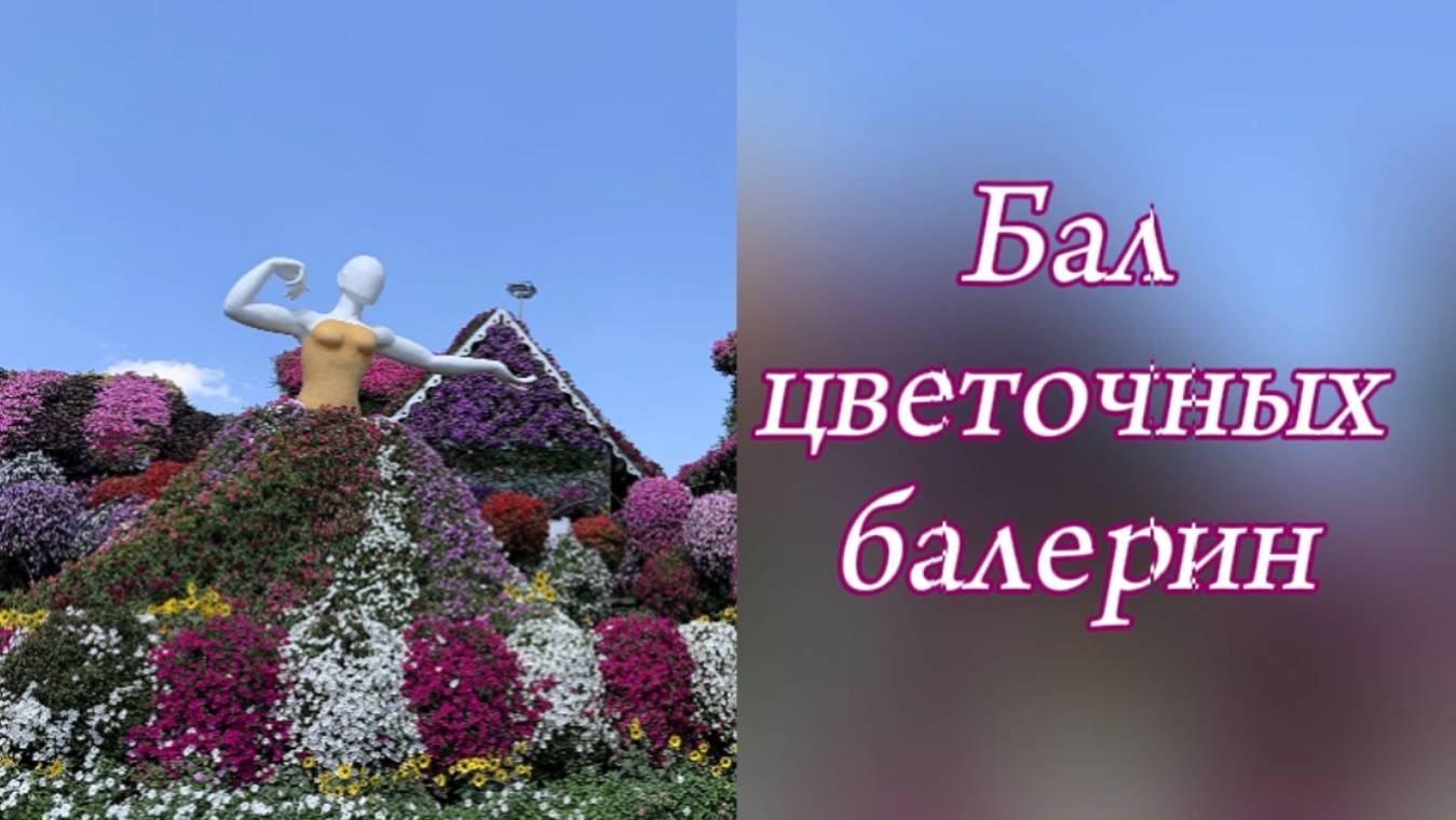 БАЛ ЦВЕТОЧНЫХ БАЛЕРИН