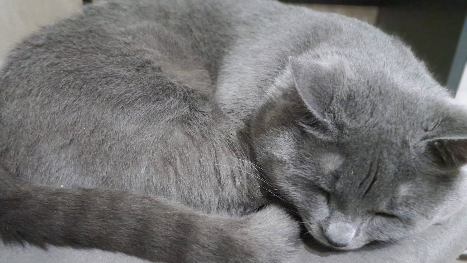 Пока никто не видит...