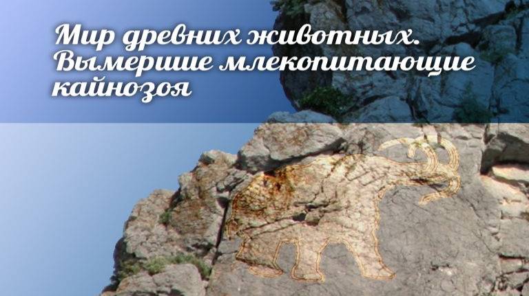 Вымершие млекопитающие # 2. Яйцекладущие и сумчатые млекопитающие