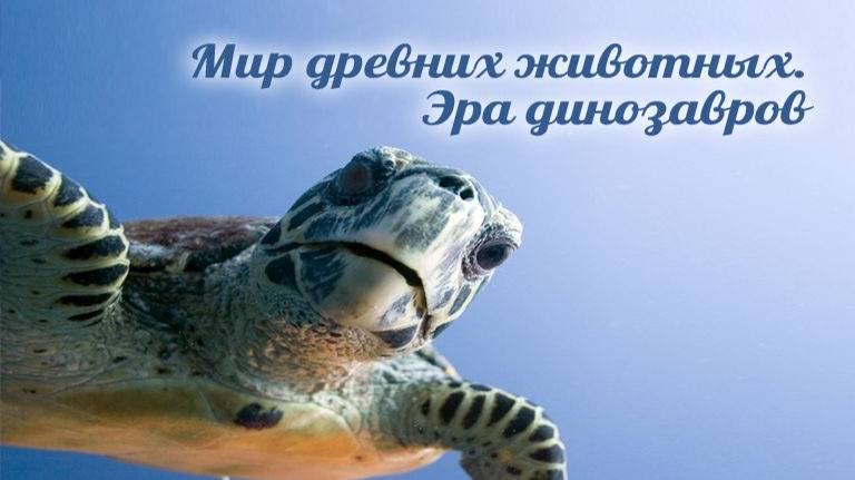 Динозавры # 1.10. Стегозавры