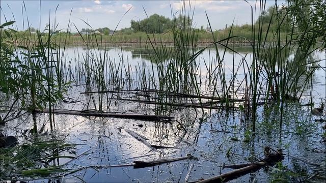 рыбалка в конце июня! непогода помешала но все равно наловил рыбы!