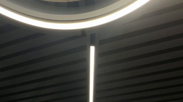 Межвузовский студенческий кампус в Уфе, 2024 г | Реечный потолок, освещение, стены # 7