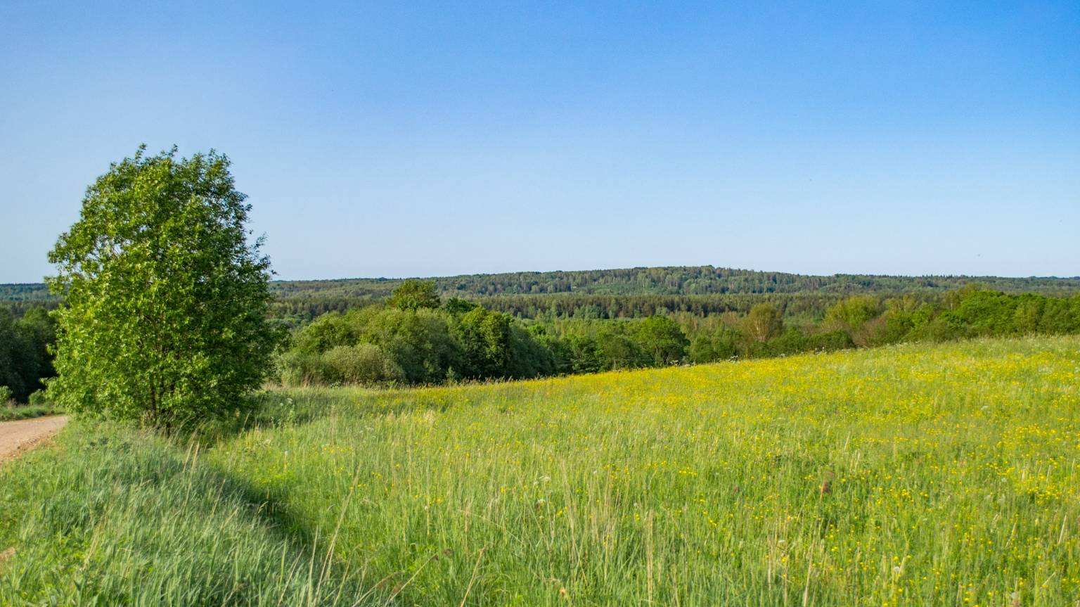 "АППАСИОНАТА"... (Фото Ивана КОМАРОВА (Валдай), музыка группы "SECRET GARDEN")