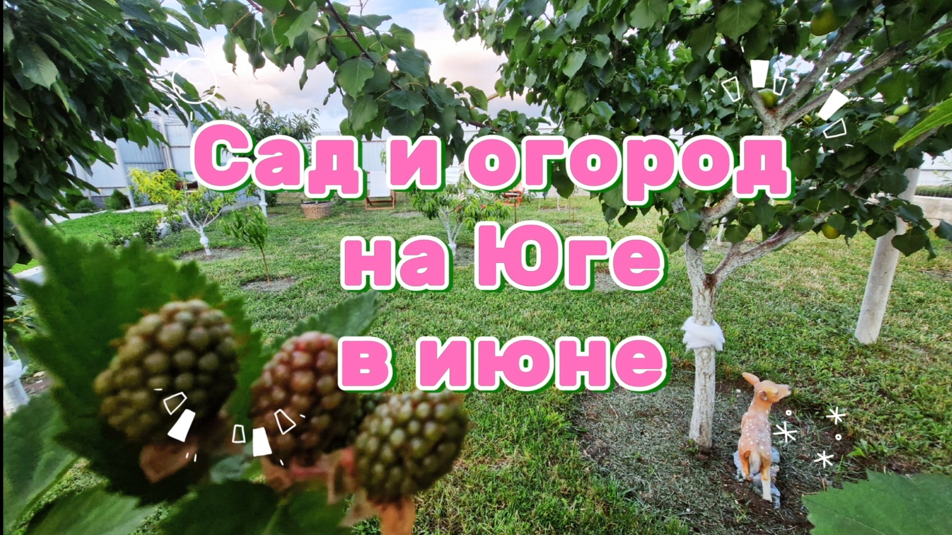 САД и ОГОРОД на ЮГЕ в ИЮНЕ
