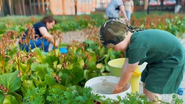 "Чудо-клумба- 2025".mp4