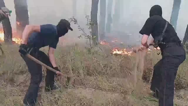 Полицейские помогли огнеборцам потушить пожар в лесном массиве