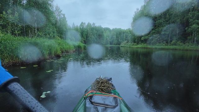 Сплав - река Андома ( бобры каждые 50 метров  )