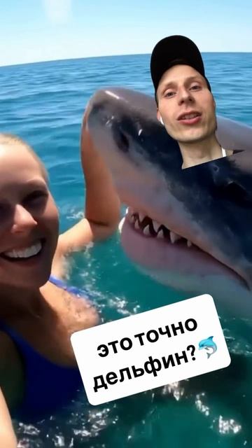 это точно дельфин