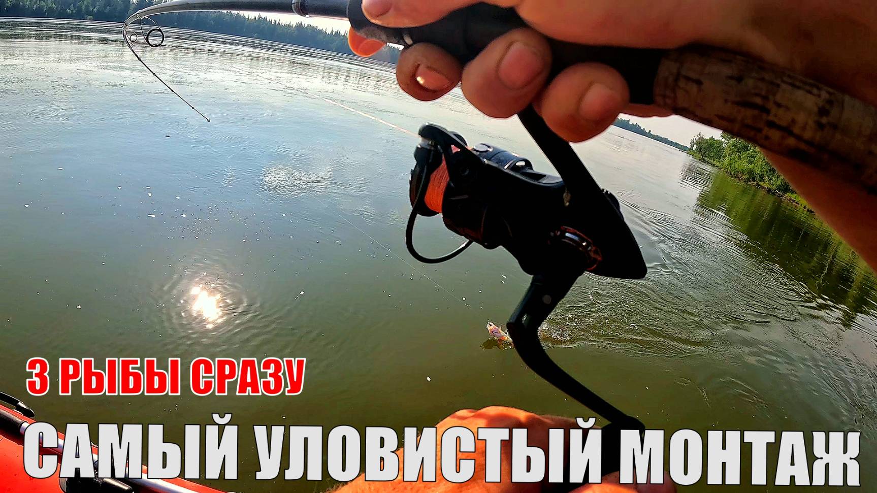 НЕ ПОВЕРИЛ БЫ ЕСЛИ бы САМ НЕ ПОЙМАЛ! ТРИ РЫБЫ за ПРОВОДКУ! ЭТОТ МОНТАЖ ТВОРИТ ЧУДЕСА!