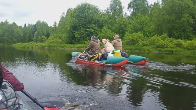 Карелия. Беломорская Шуя. Пороги Падун и Зигзаг