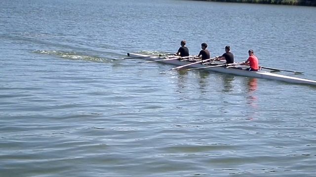 СЕГОДНЯ В КАЛИНИНГРАДСКОМ СУДОХОДНОМ КАНАЛЕ
ДОВОЛЬНО ОЖИВЛЕННО