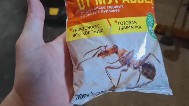 Дешевое средство от муравьев. На сколько эффективно?