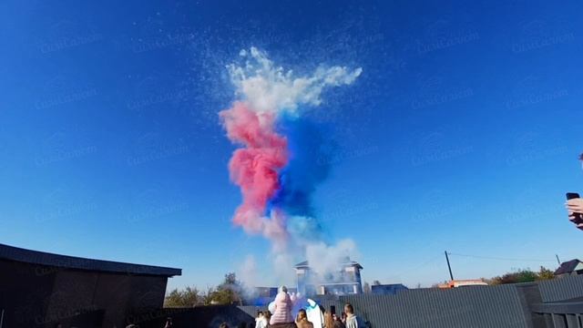 Гендер пати