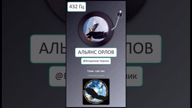 Международное сообщество интернет предпринимателей АЛЬЯНС ОРЛОВ