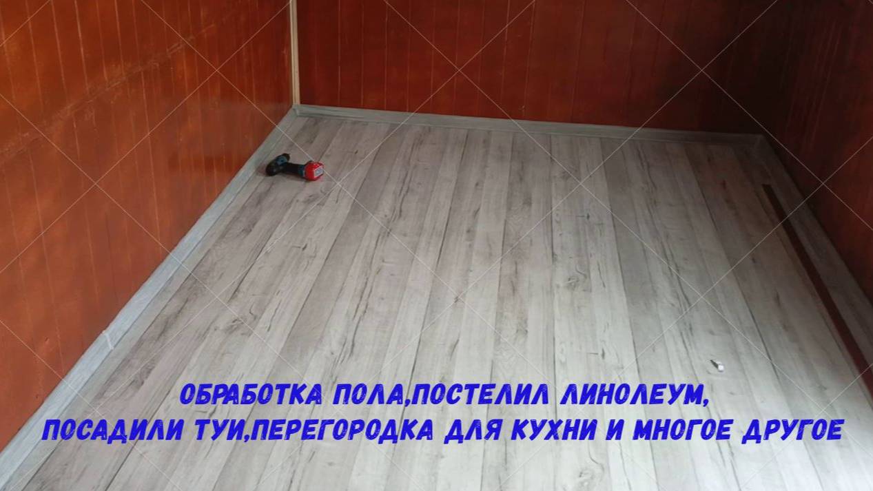 Обработка пола постелил линолеум посадили туи перегородка для кухни и многое другое
