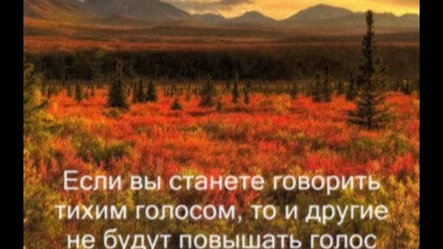 Поток радости