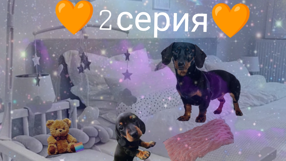 🧡2 серия 1 сезон сериал „Будни Таксика”🧡