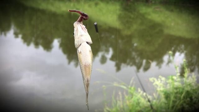 Рыбалка в Шинерпоси.