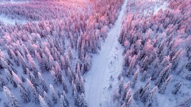 ЕВГЕНИЙ ЕВТУШЕНКО "ЛЮДИ-РОДИНА МОЯ"