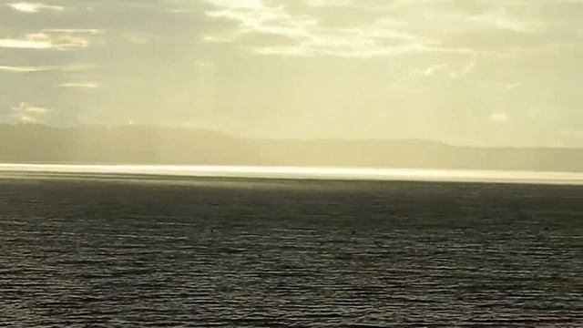 Тридевятое Царство. Чудское озеро. Виды.