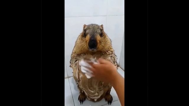 6 минут ржаки подборки смешных видео